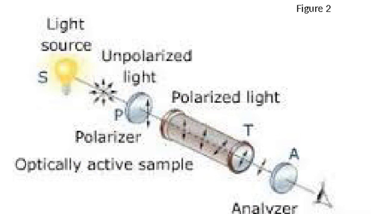 Understanding Polarization in Raw Sugar — Sugar polarization - Global ...